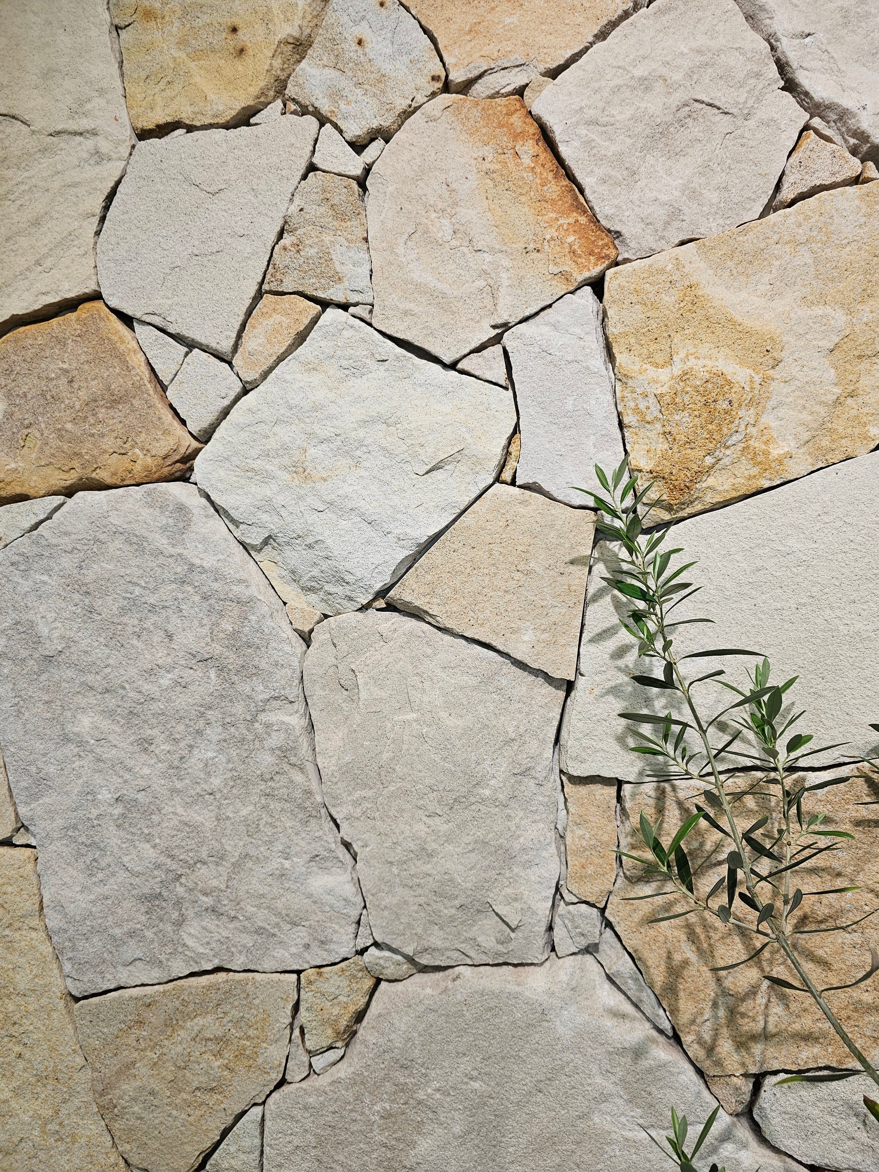 The Stone Men